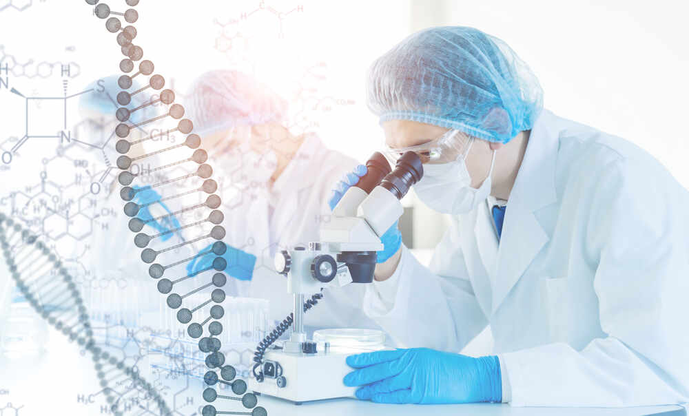 Hidden Cells That Decide Your Lifespan | Health And Wealth Digest